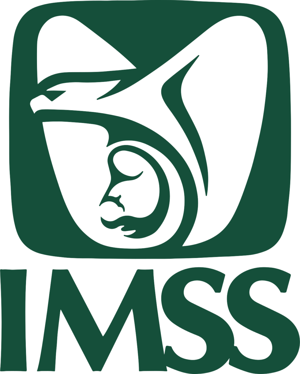 IMSS Mexico - Mexico Consulting